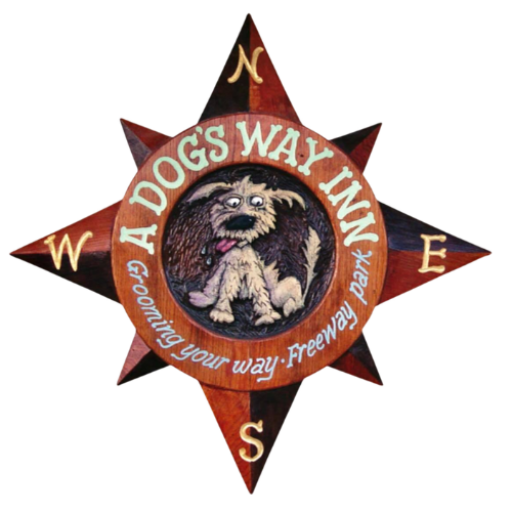 Premier Dog Boarding, Daycare, and Training in SC